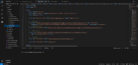 NISHANT AHER Portfolio